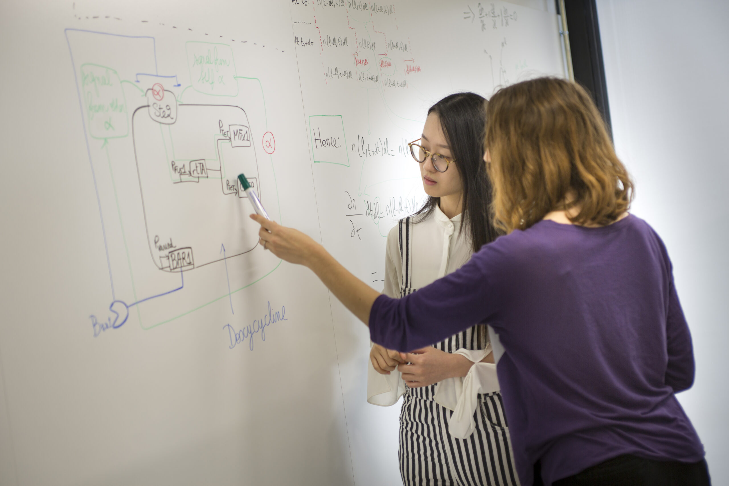 Notre offre - Inria Academy